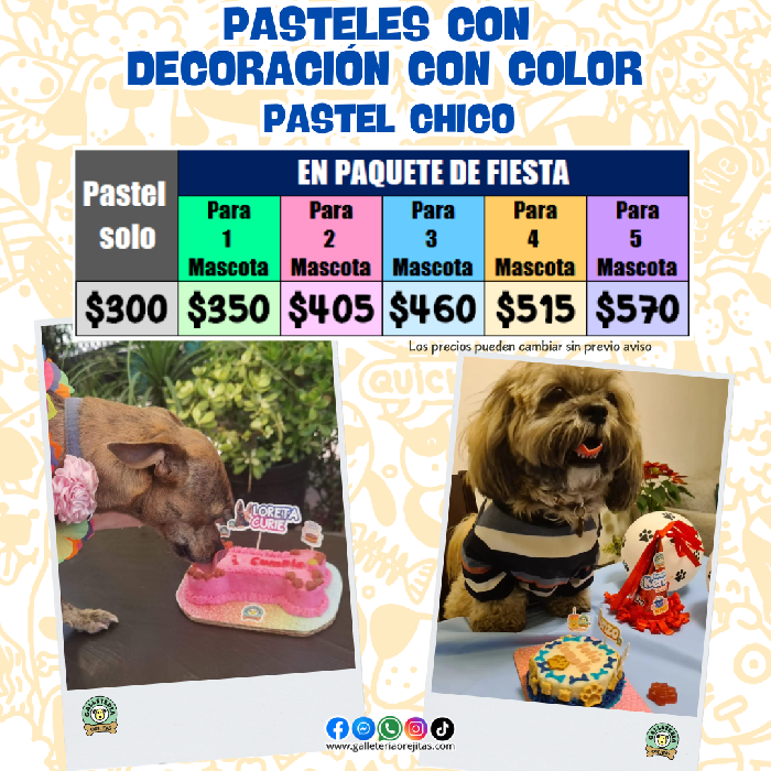 Pastel Grande para perro decorado con color
